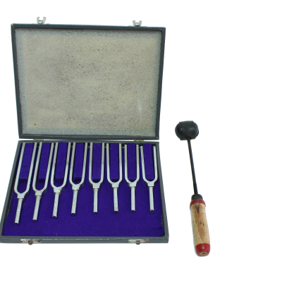 Tuning Fork Teaching Aids | Ankidyne